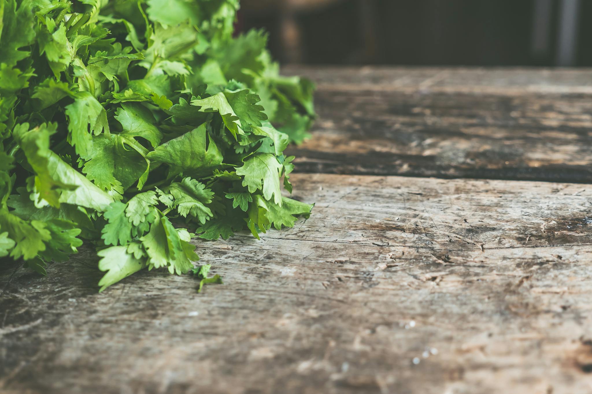 5 Traditional Skills to Relearn on Your Homestead - Little Creek Homestead